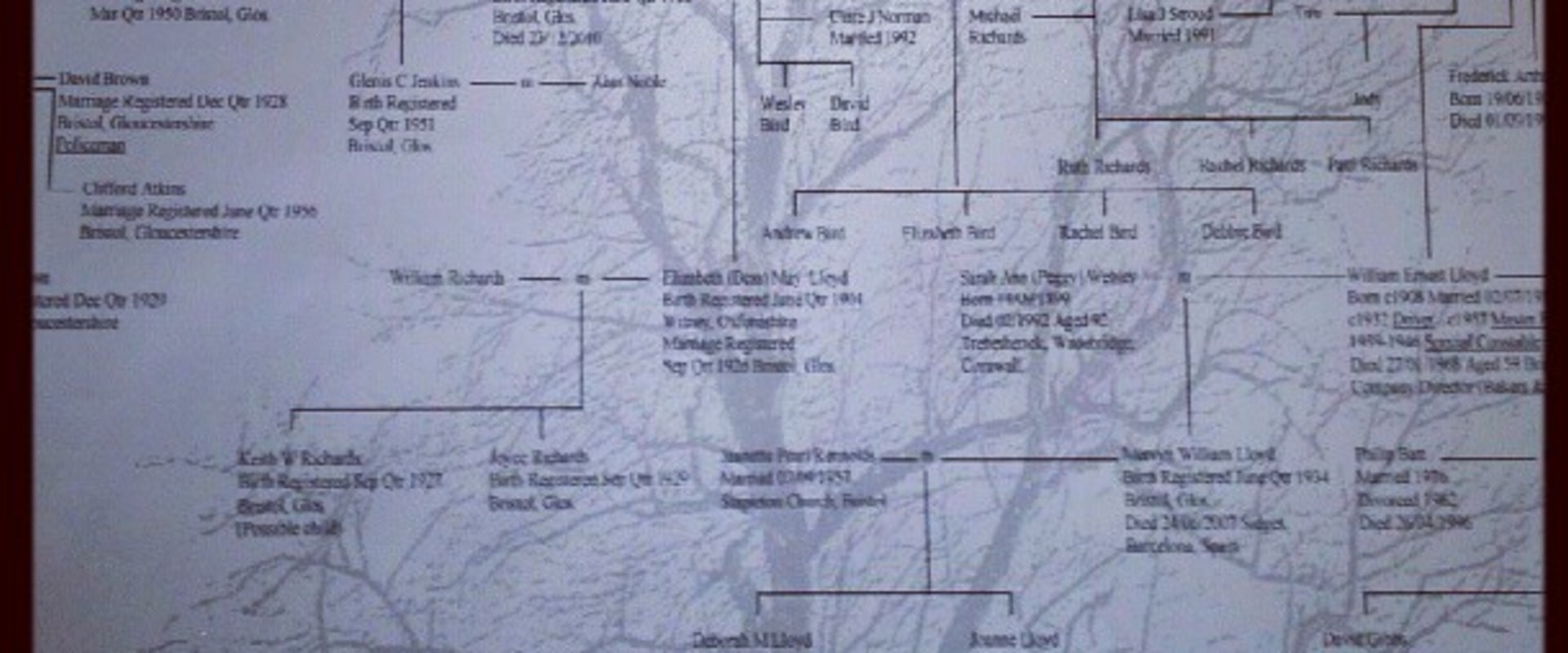 Uncovering Austin's Ancestral Roots: Exploring Genealogy In The Texas ...